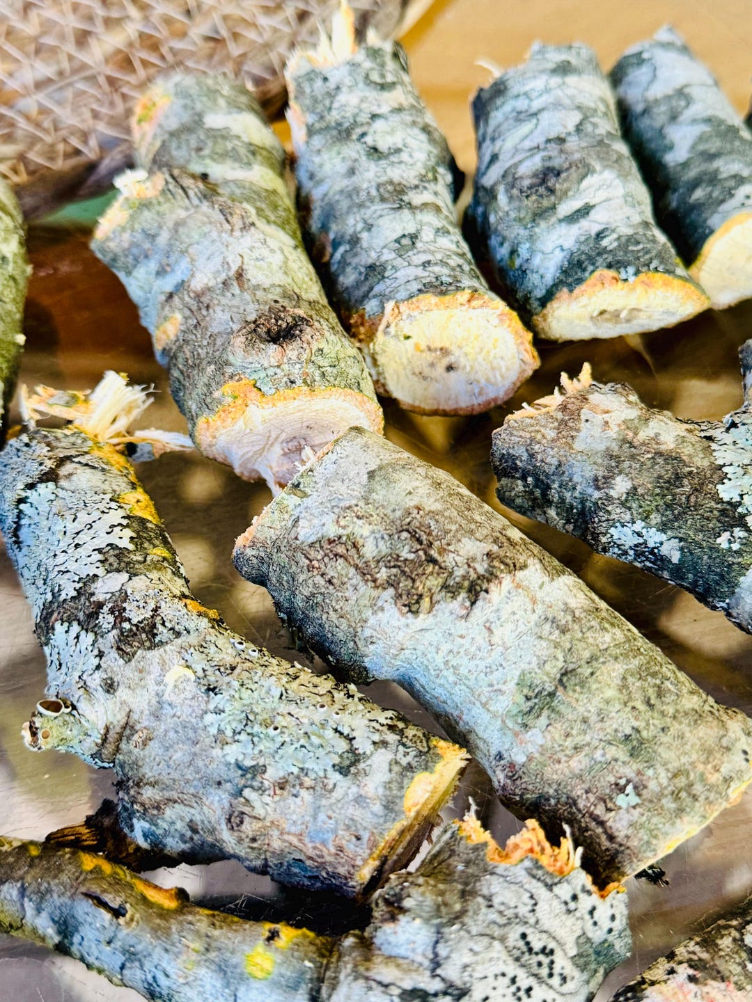 Small Oak Wood Pieces, Oak Wood Chunks, Oak Wood for Crafting, Small ...