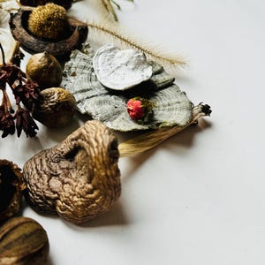 Ultimate Forest Finds, Dried Forest Mix, Forest Art, Educational ...