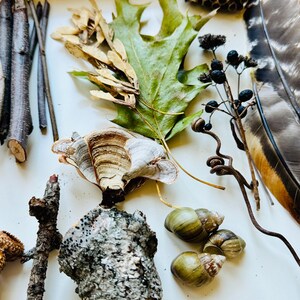 Natural Elements, Outdoor Learning, Natures Educational Classroom ...