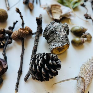 Natural Elements, Outdoor Learning, Natures Educational Classroom ...