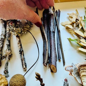 Natural Elements, Outdoor Learning, Natures Educational Classroom ...