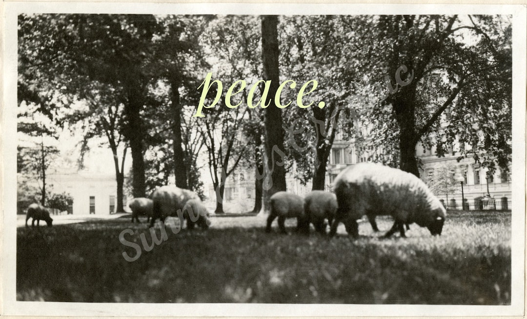 Vintage Printable Poster - Etsy