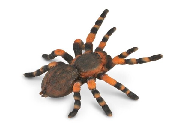 Mexican Redknee Tarantula Spider Plastic Toy Model Figure for - Etsy