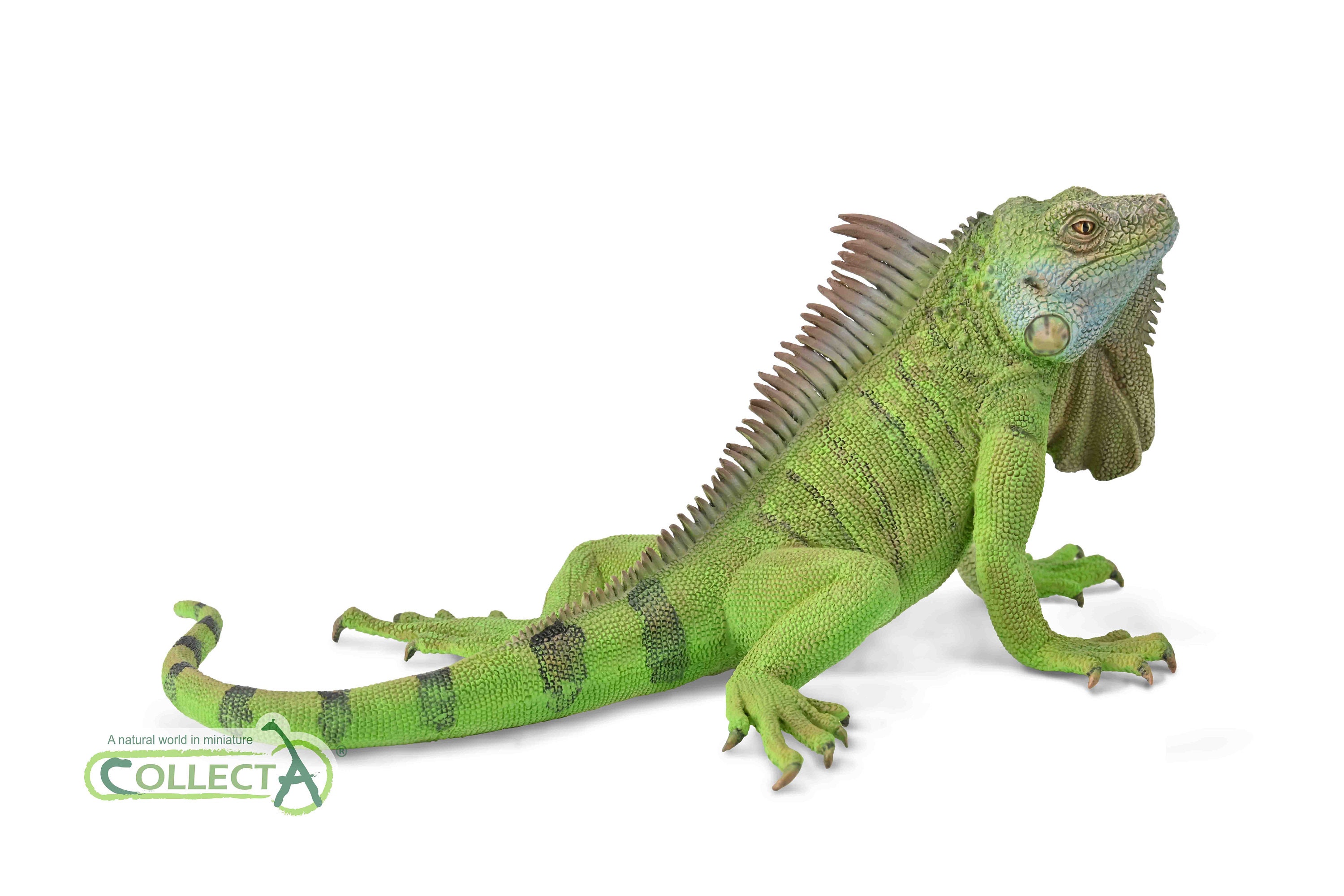 Iguana Lizard Plastic Toy Model Figure for Diorama Vivarium or Cake ...