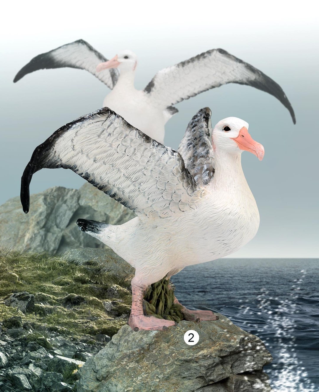 Wandering Albatross Bird Plastic Toy Model Figure for Cake Topper or ...