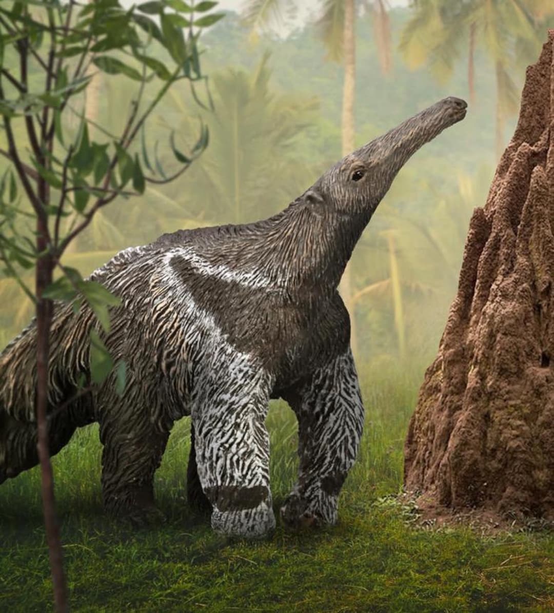 Model Giant Anteater Plastic Toy Figure for Cake Topper or Wildlife ...