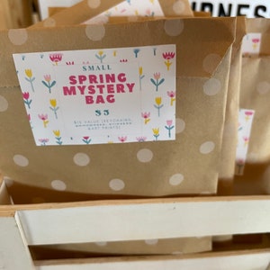 Spring Mystery Bag - Small | Blind Bag | Surprise Gift - Etsy