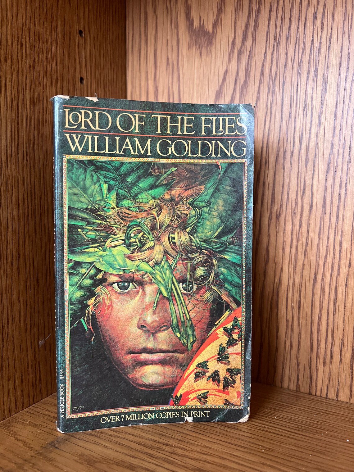 Lord of the Flies by William Golding Softcover - Etsy