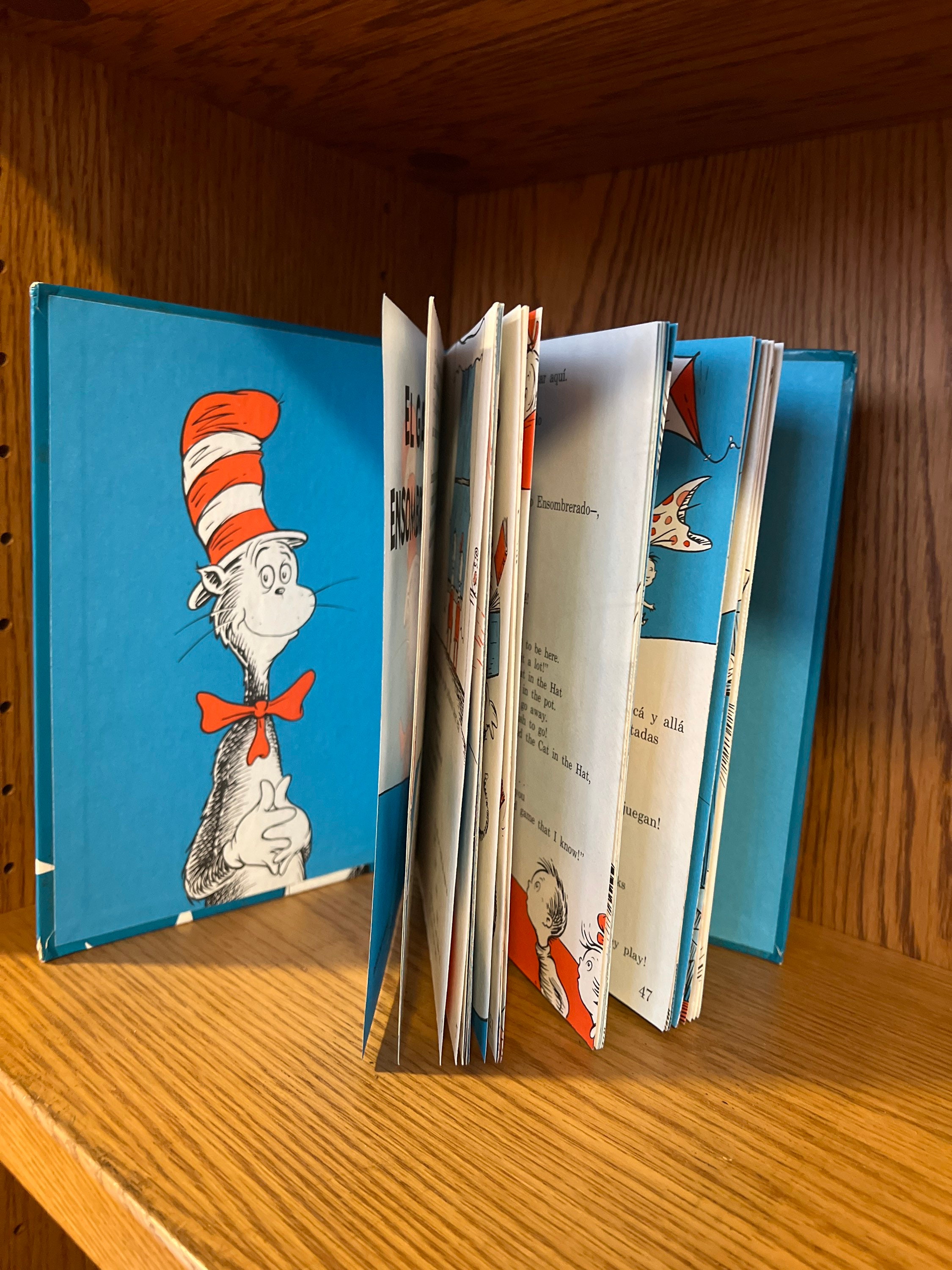 The Cat in the Hat/el Gato Ensombrerado the Cat in the Hat - Etsy