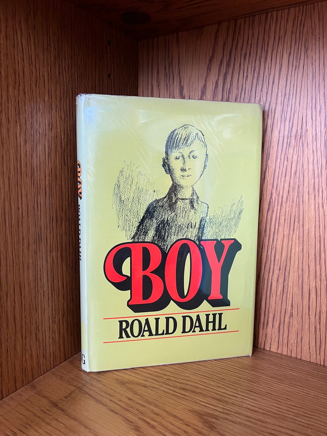 The Boy by Roald Dahl 1st American Edition - Etsy