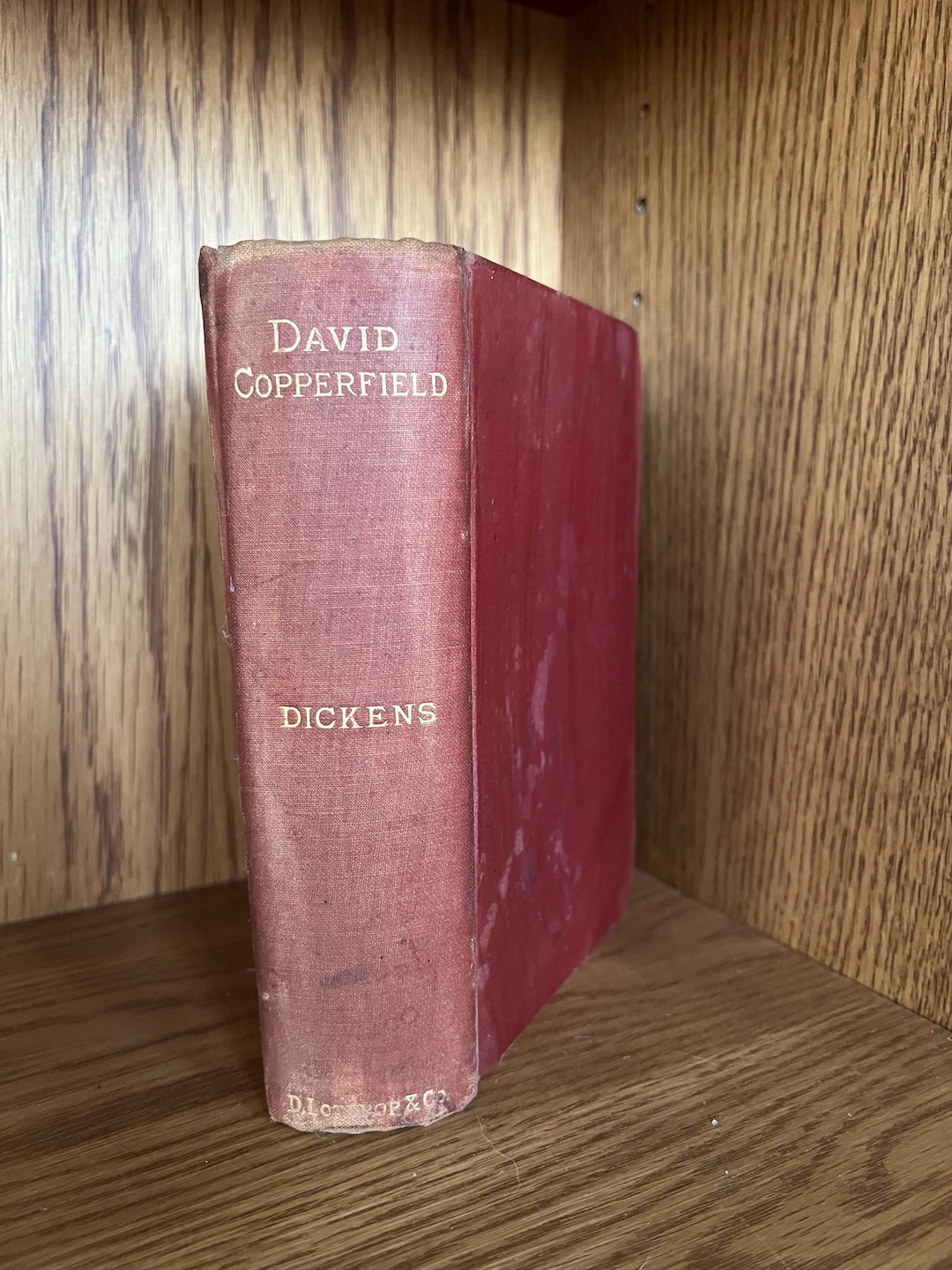 Dombey and Son / History of David Copperfield by Charles Dickens 1900’s ...