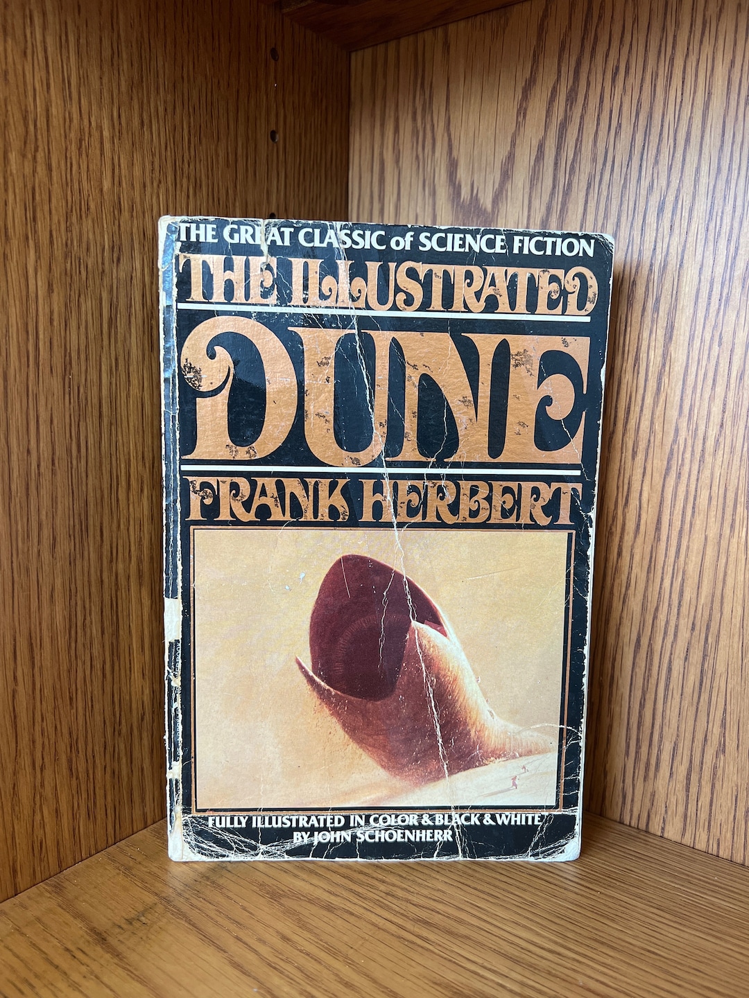 DUNE by Frank Herbert. Fully Illustrated in Colour and Black & - Etsy
