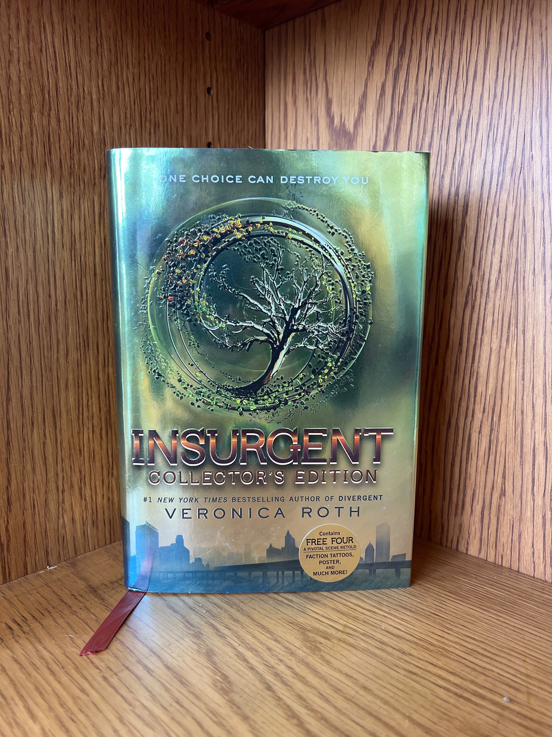 Insurgent Book Cover Drawing