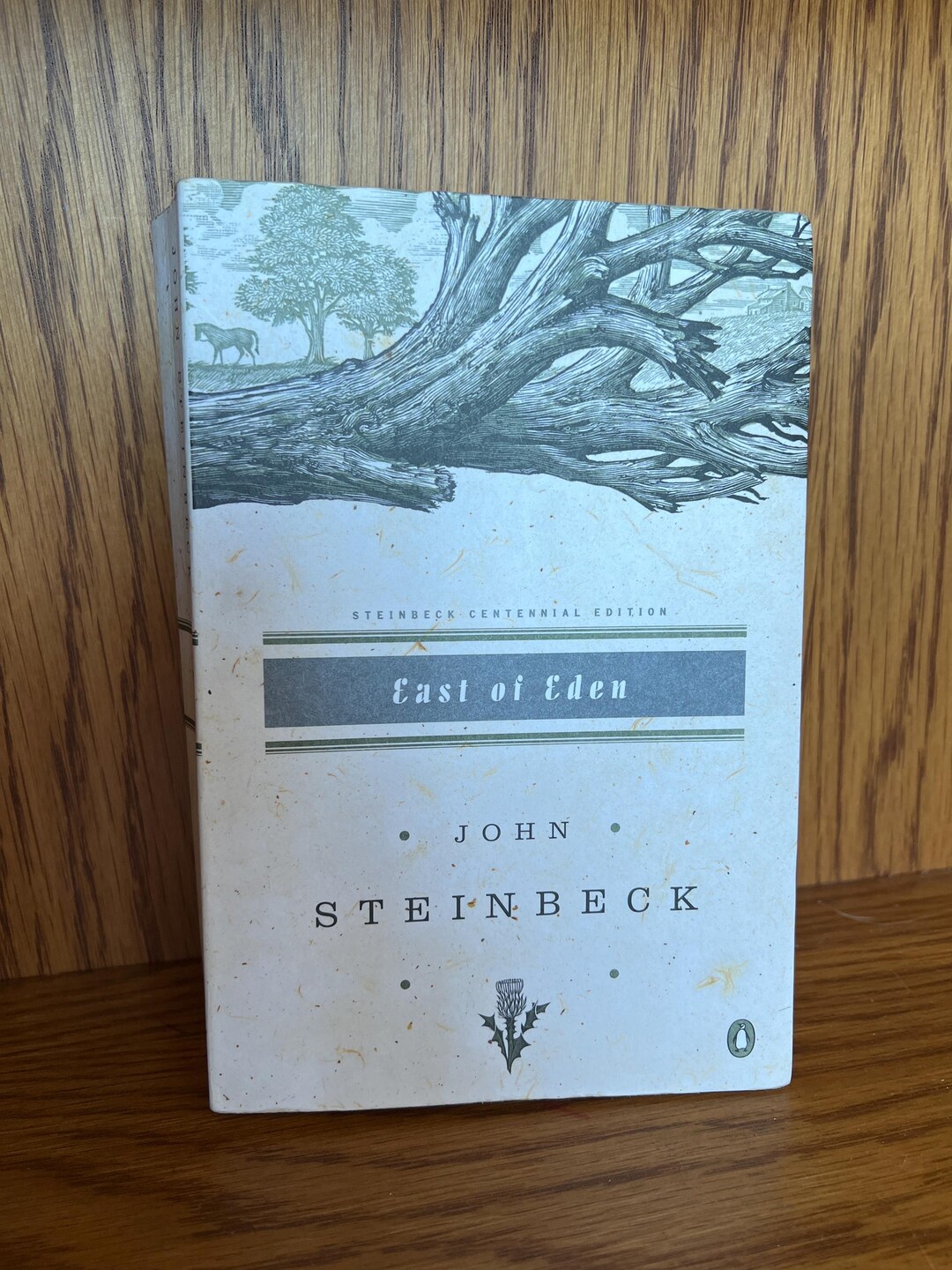 East of Eden and the Grapes of Wrath by John Steinbeck Softcover - Etsy
