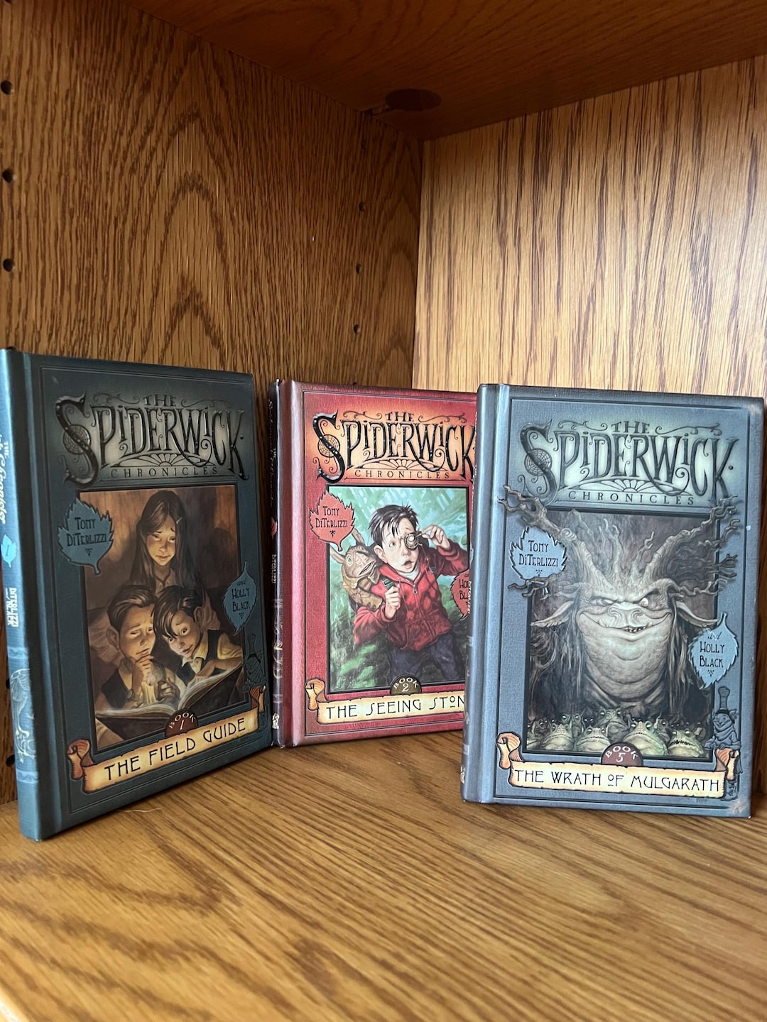 The Spiderwick Chronicles Book 1,2 and 5: the Field Guide by Diterlizzi ...