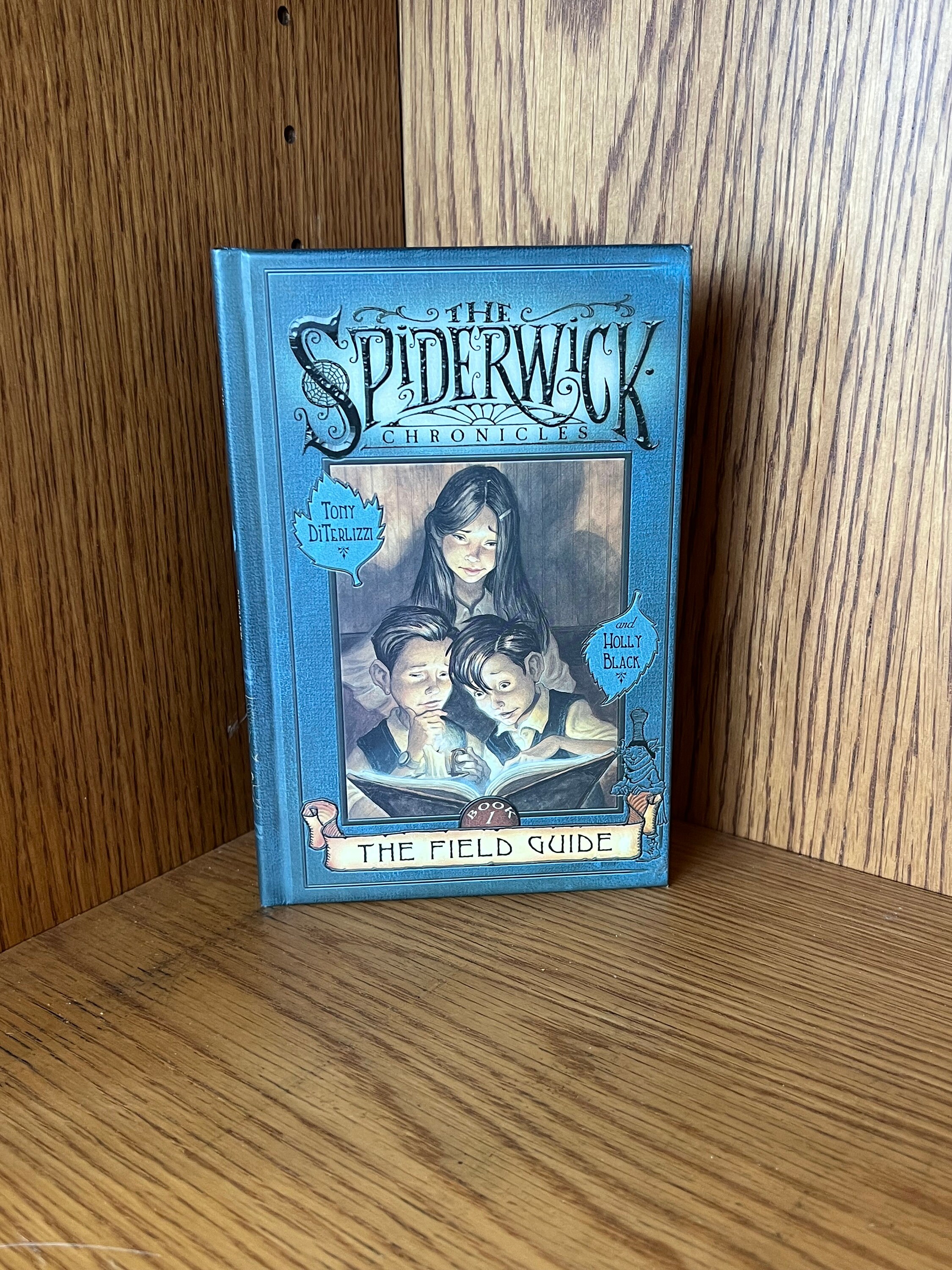 The Spiderwick Chronicles Book 1-5 by Diterlizzi, Tony and Holly Black ...