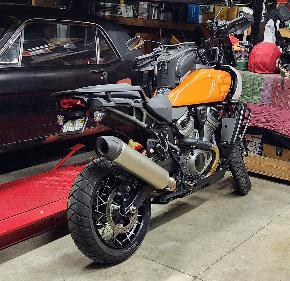 TSD Harley Pan America 1250 Fender Eliminator - Etsy
