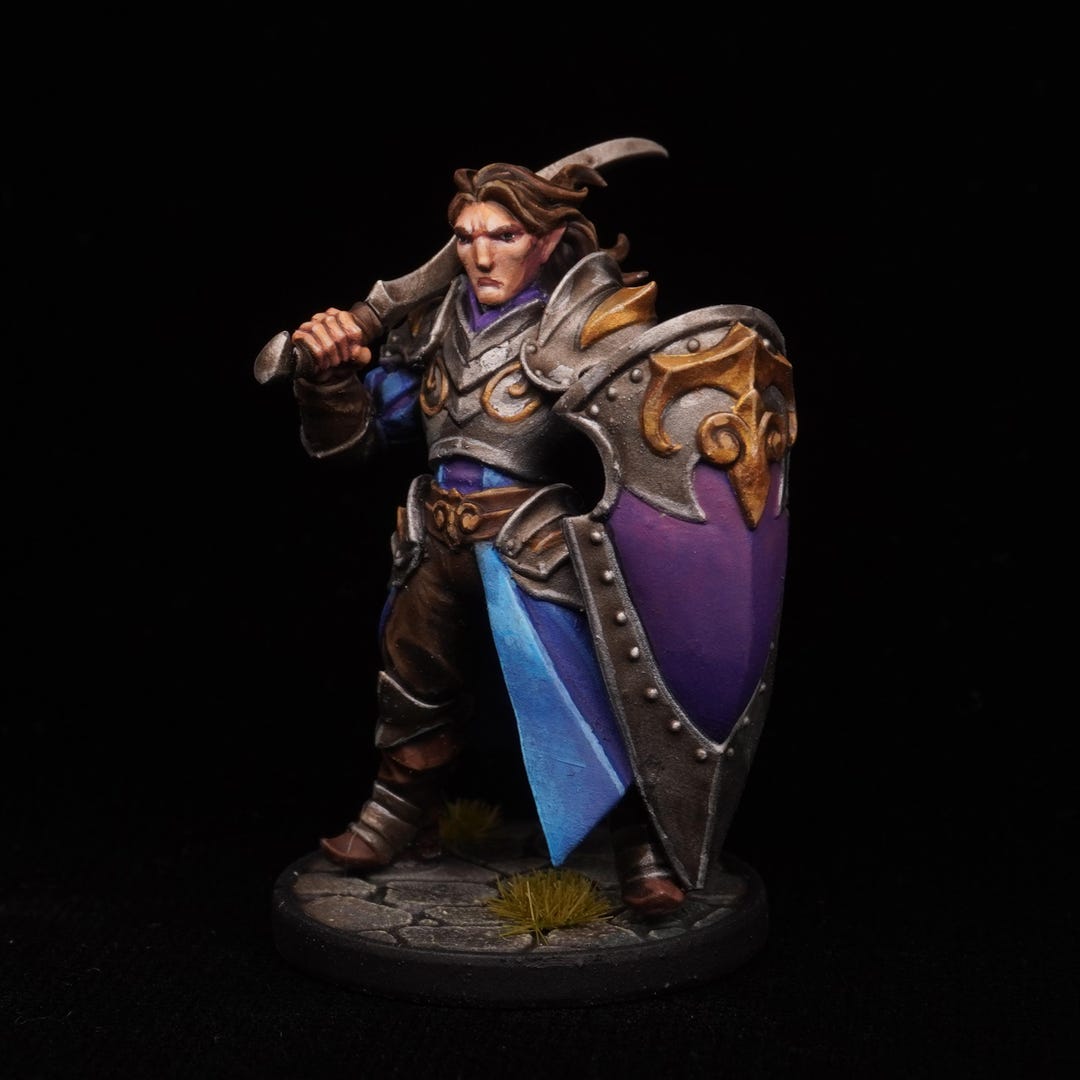 Pro Painted Miniature Elf Warrior Paladin RPG Dnd Dungeons and Dragons ...