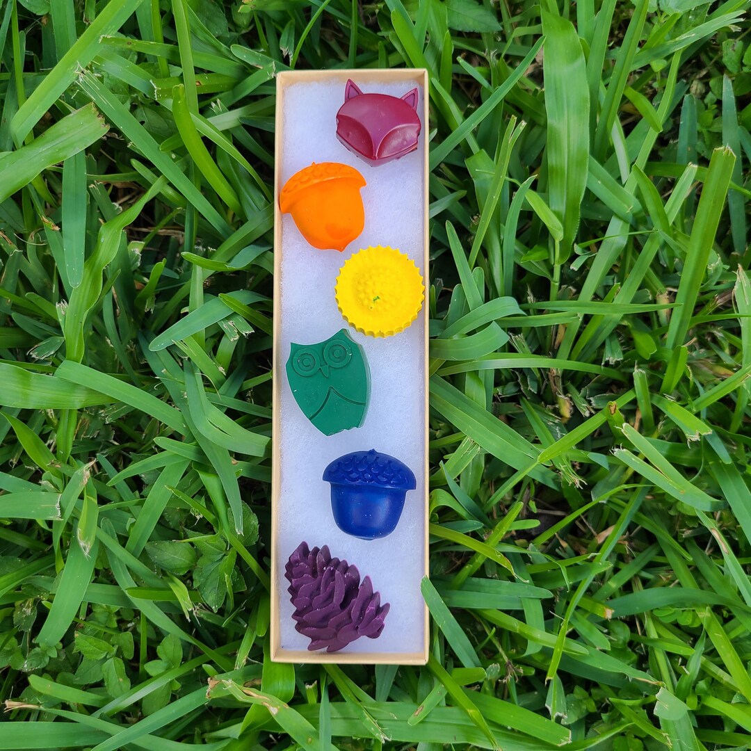 Crayons, Gift Set, Fall, Fox, Owl, Leaf, Acorn, Kids Crayons, Homemade ...