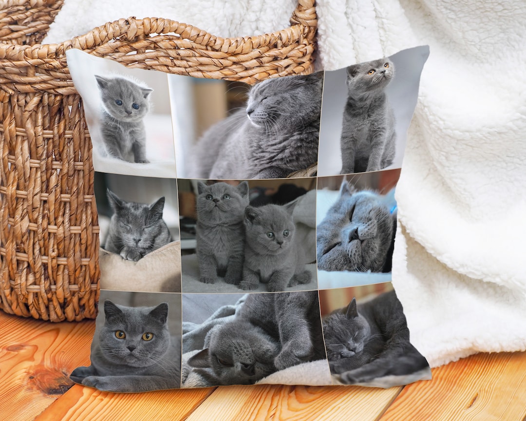Custom Pet Photo Pillow, Personalized Throw Pillow, Cat Photo Pillow ...