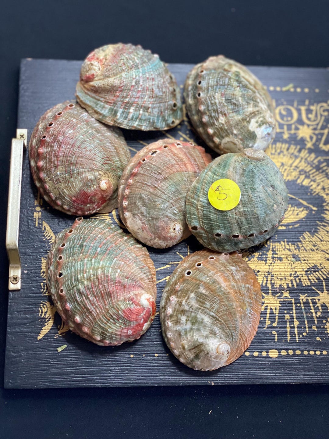 Smudge Shells - Etsy