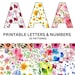 Printable Flowers Themed Alphabet Letters & Numbers for Party ...