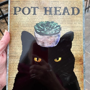 Pot Head Sign, Black Cat Sign, 7x9 Metal Sign, Black Cat Humor, Funny ...