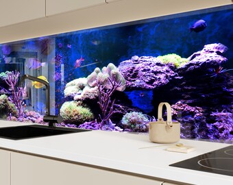 Tempered Glass Fish Aquarium - Etsy