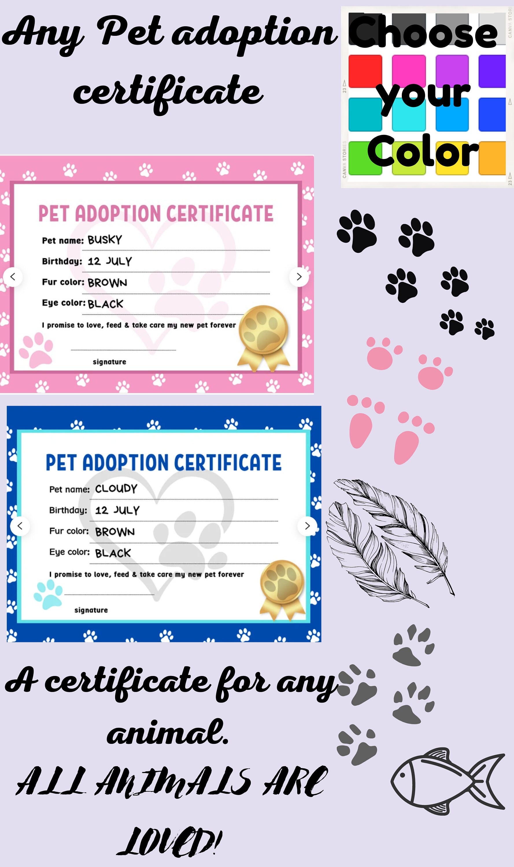 Pet Adoption Certificate - Etsy