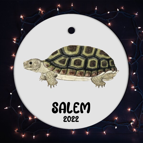 Tortoise Ornament - Etsy