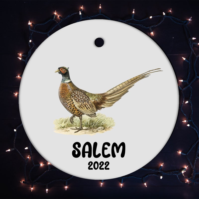 Pheasant Decor - Etsy