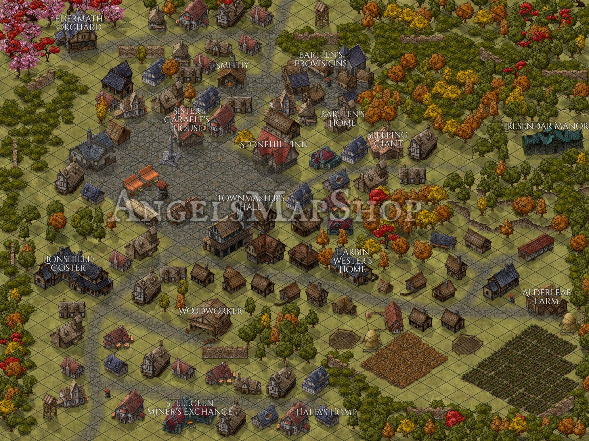 Phandalin Town Map, Dnd Maps, Town Maps, Continent Maps, Island Maps ...