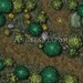 Forest Battle Map, Town Map, Dnd Maps, Town Maps, Continent Maps ...