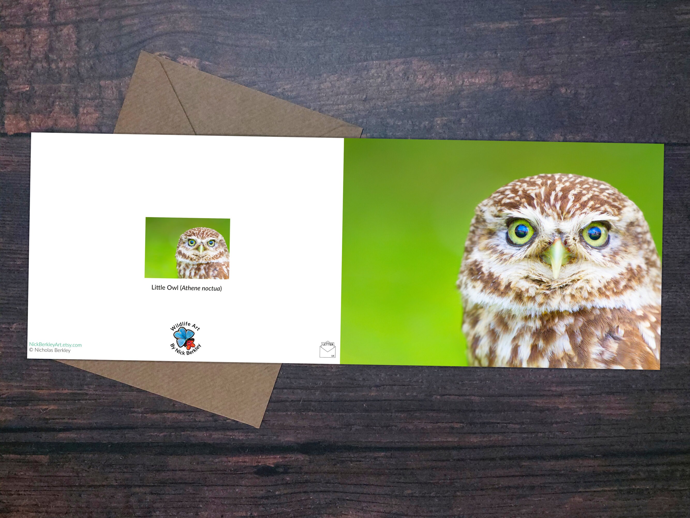 LITTLE OWL CARD, Glossy Little Owl Greeting Card, Cute Owl Card, Nature ...