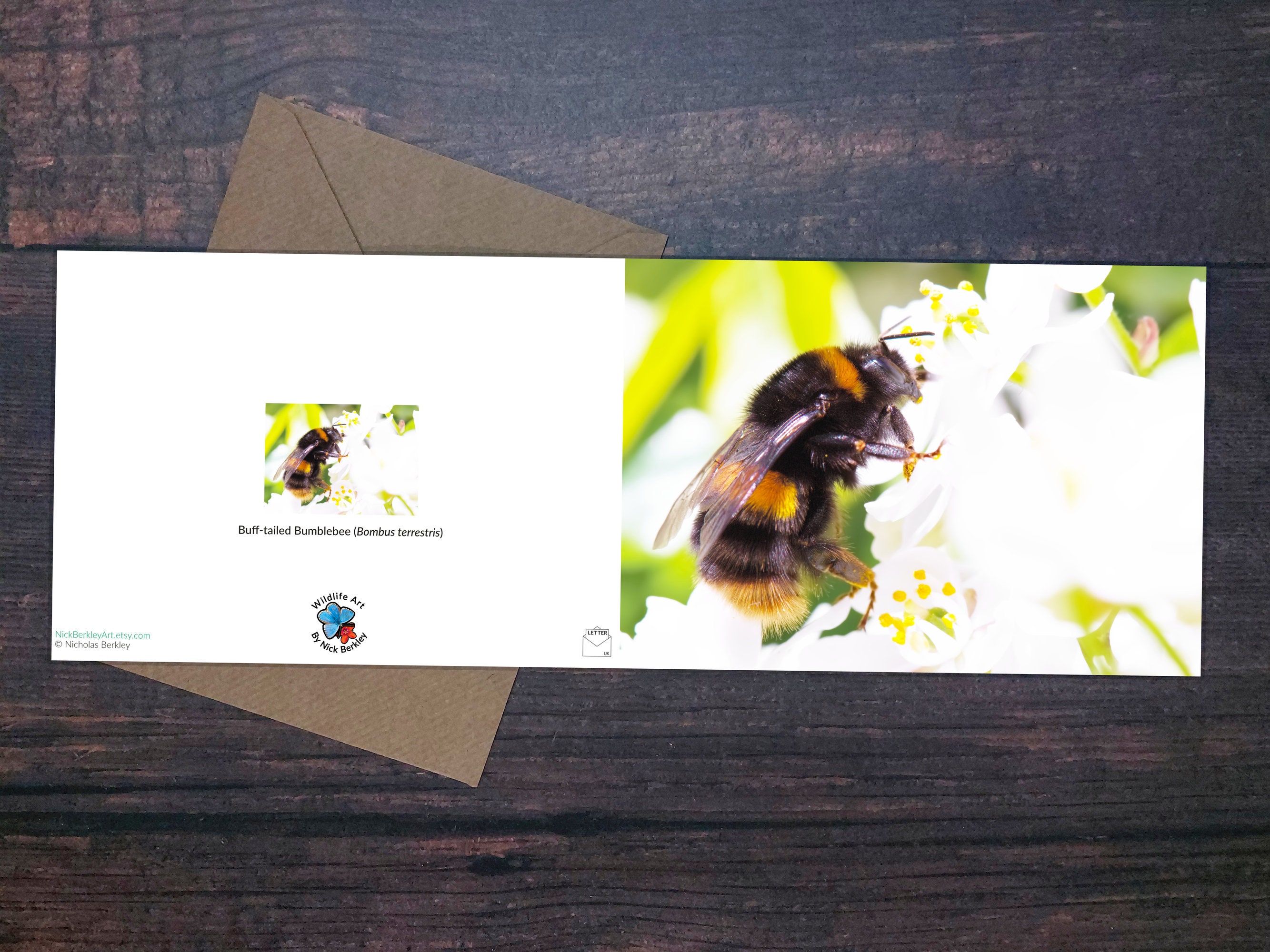 Bumblebee Greeting Card, Wildlife Card, Nature Card, Insect Macro Card ...