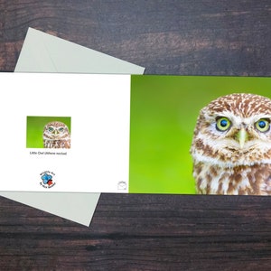 LITTLE OWL CARD, Glossy Little Owl Greeting Card, Cute Owl Card, Nature ...