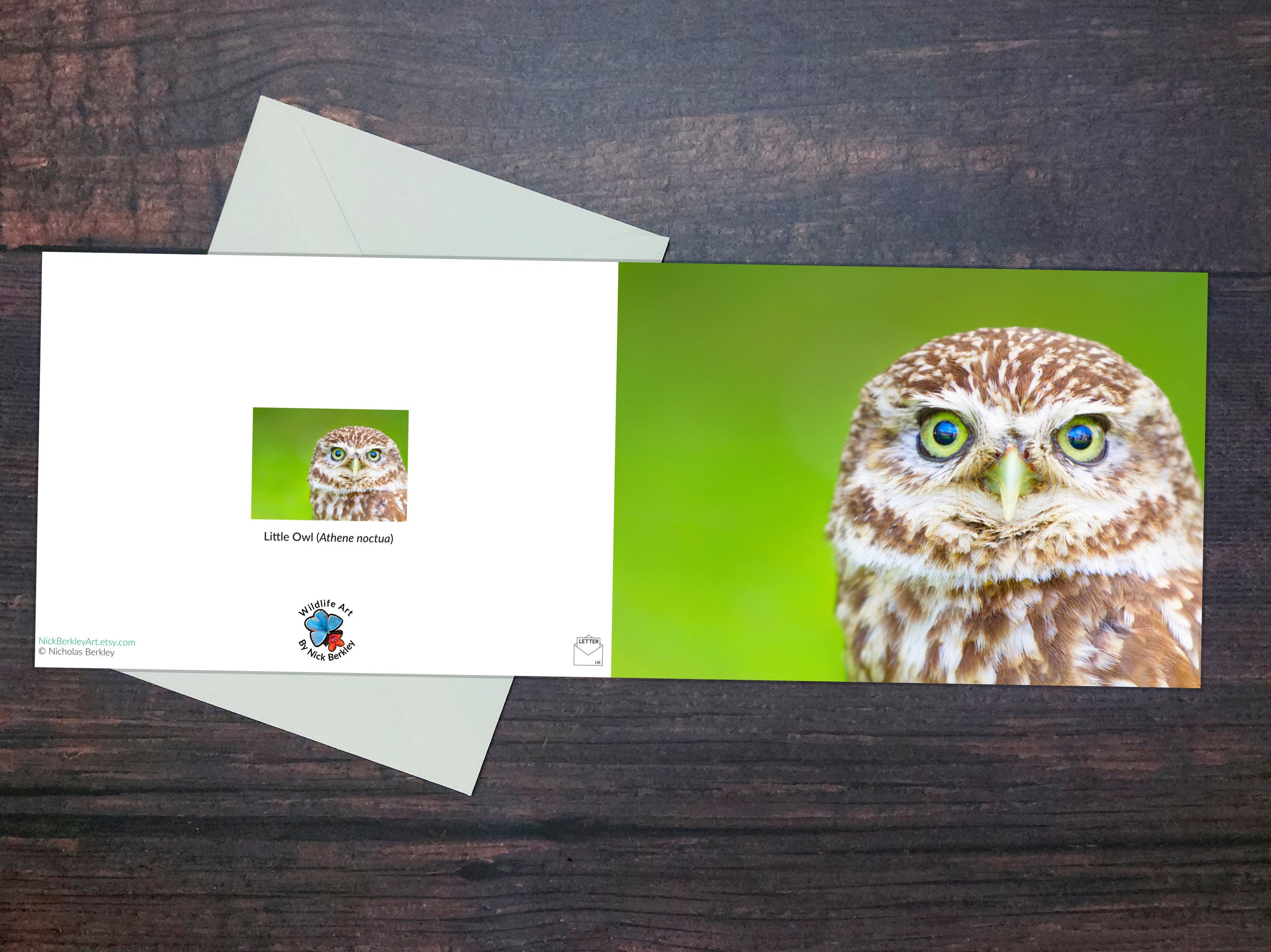 LITTLE OWL CARD, Glossy Little Owl Greeting Card, Cute Owl Card, Nature ...