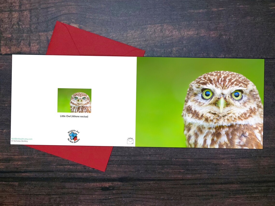 LITTLE OWL CARD, Glossy Little Owl Greeting Card, Cute Owl Card, Nature ...