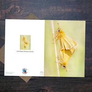 BUTTERFLY GREETING CARD, Small Skipper Butterfly Card, Wildlife Card ...