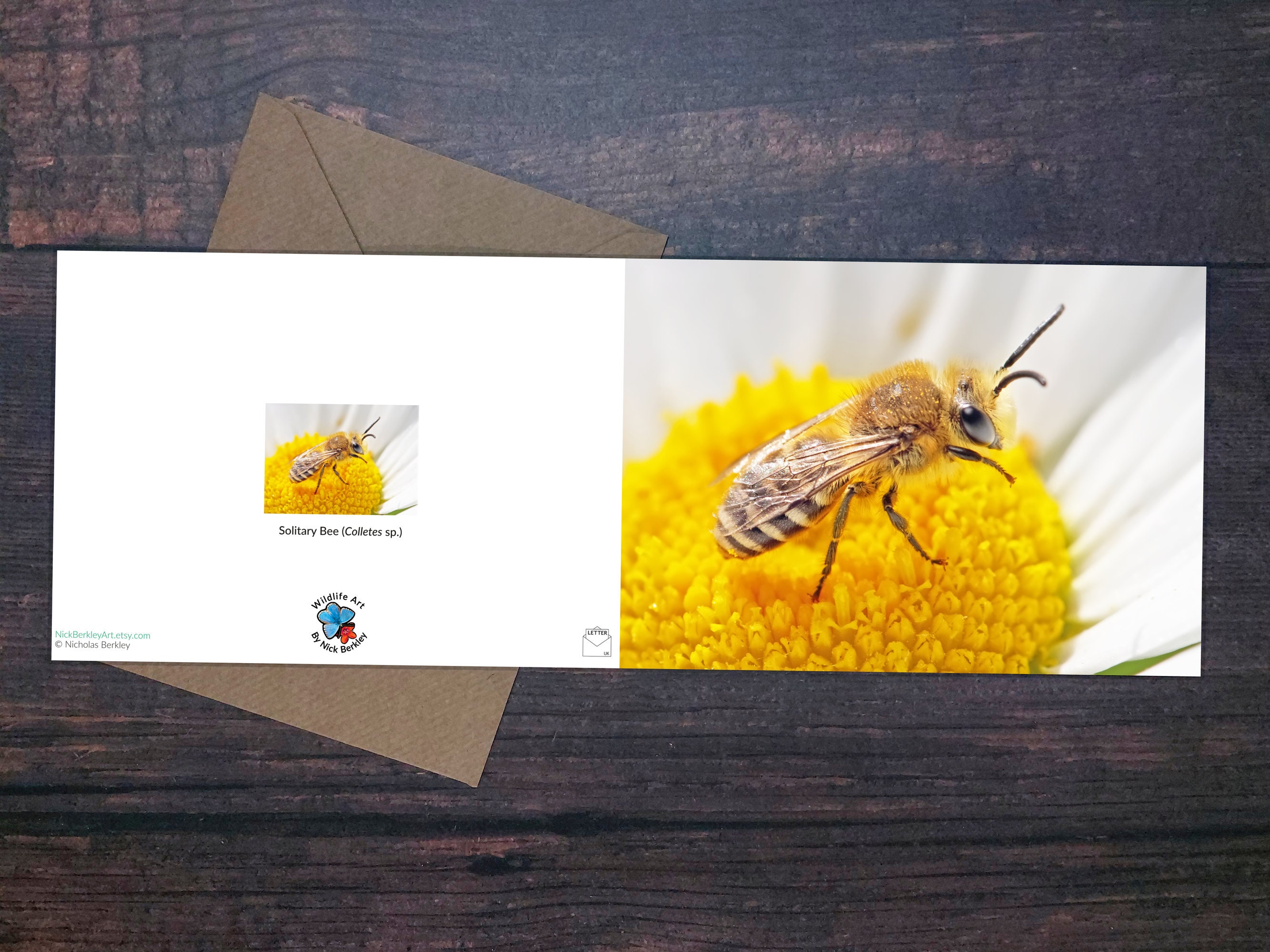 Solitary Bee Card, Bee Greeting Card, Pollinator Card, Bee on Flower ...