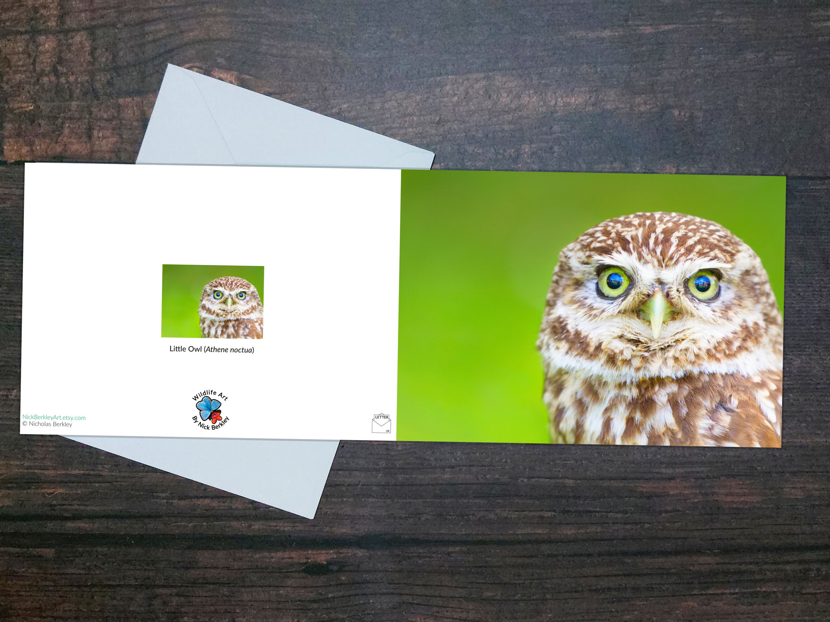 LITTLE OWL CARD, Glossy Little Owl Greeting Card, Cute Owl Card, Nature ...