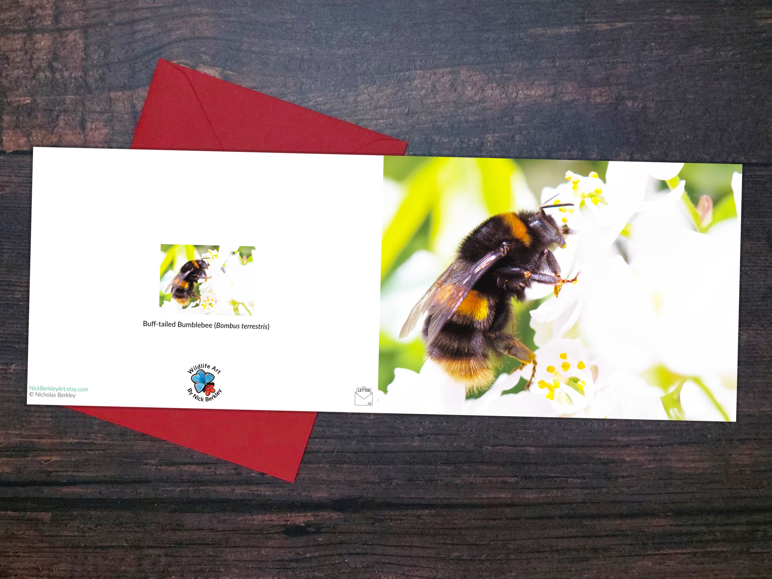 Bumblebee Greeting Card, Wildlife Card, Nature Card, Insect Macro Card ...
