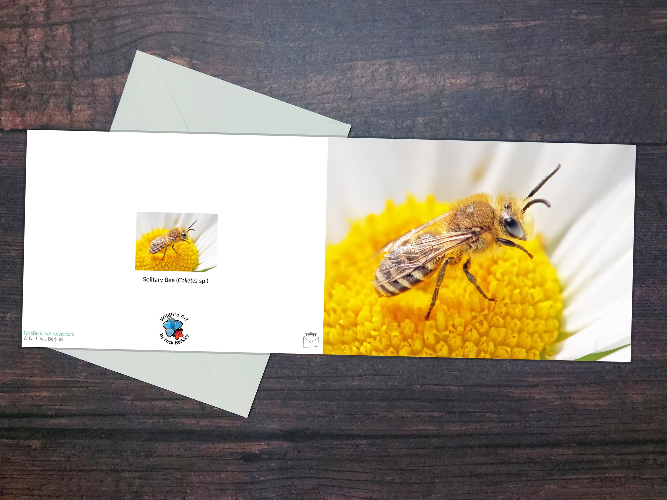 Solitary Bee Card, Bee Greeting Card, Pollinator Card, Bee on Flower ...