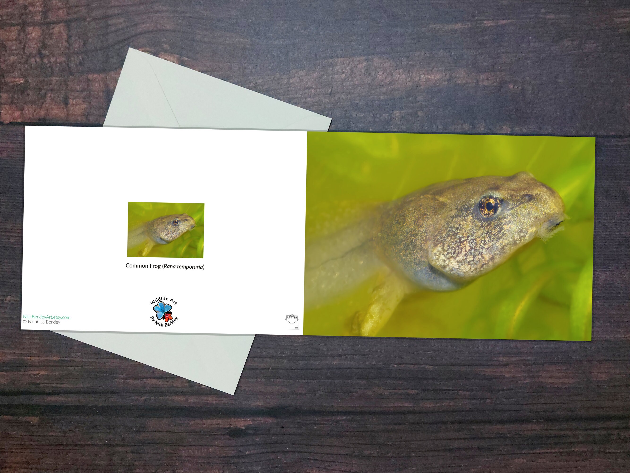 Tadpole Greeting Card Rana Temporaria Photograph Animal - Etsy
