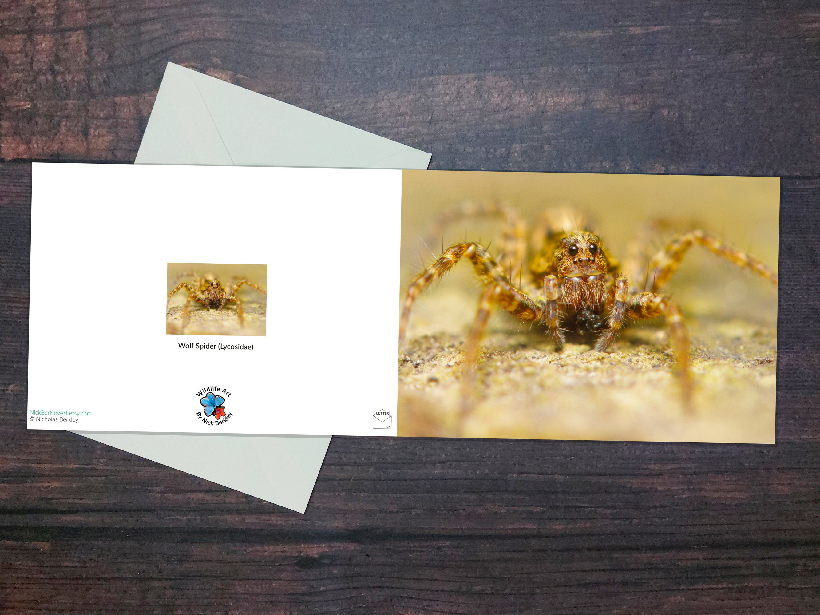 WOLF SPIDER CARD, Spider Greeting Card, Nature Card, Wildlife Card ...