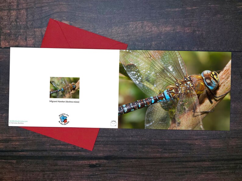 DRAGONFLY GREETING CARD, Migrant Hawker Card, Wildlife Card, Macro ...