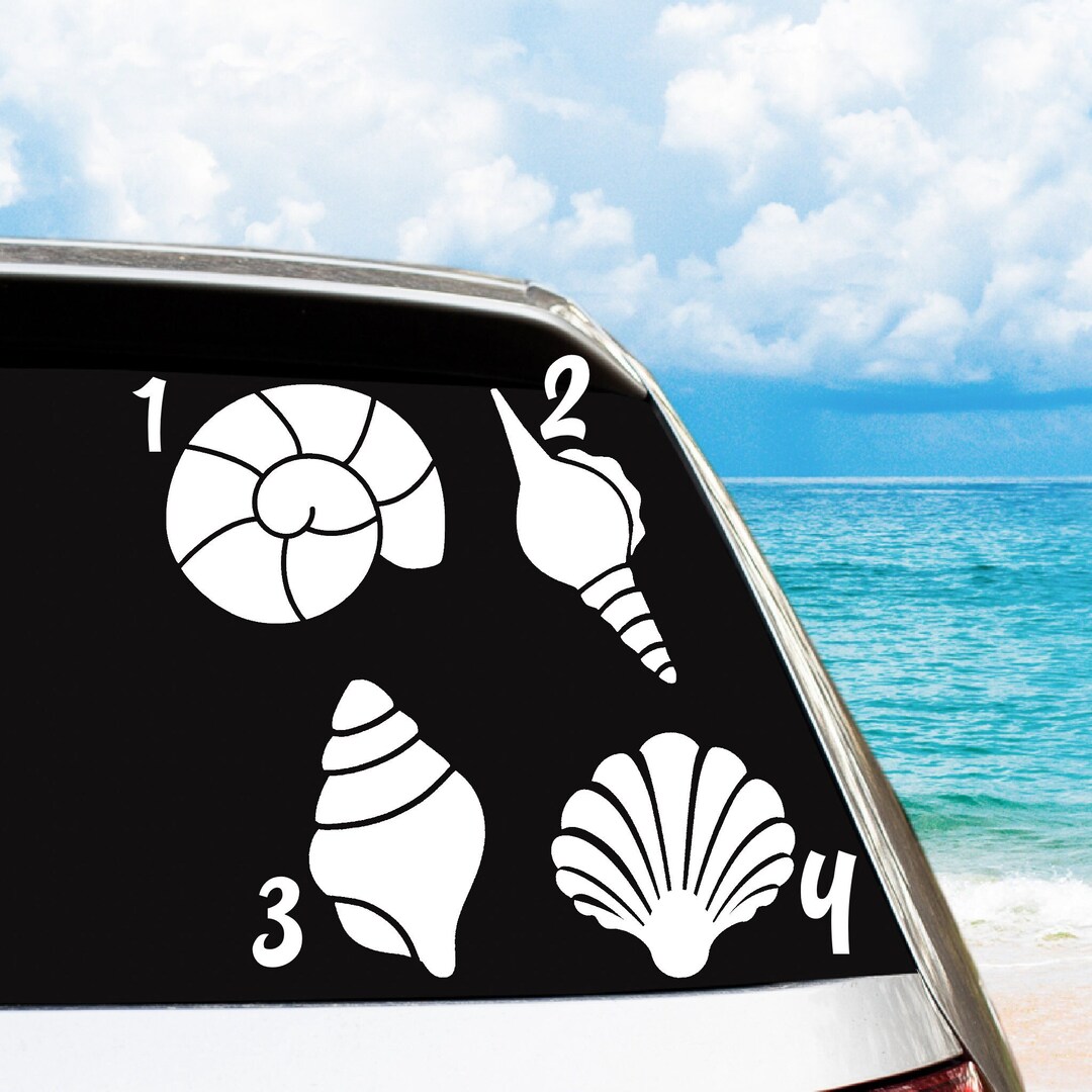 Sea Shell Decal, Car Decal, Bumper Sticker, Vinyl Decal - Etsy