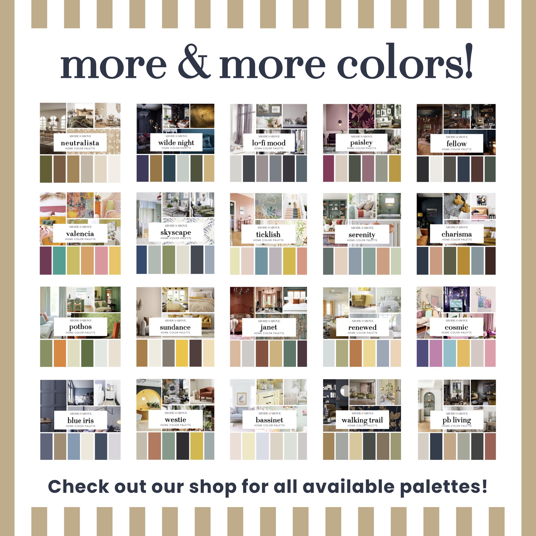 Patagonia - Home Color Palette | Sherwin Williams Whole House Color ...