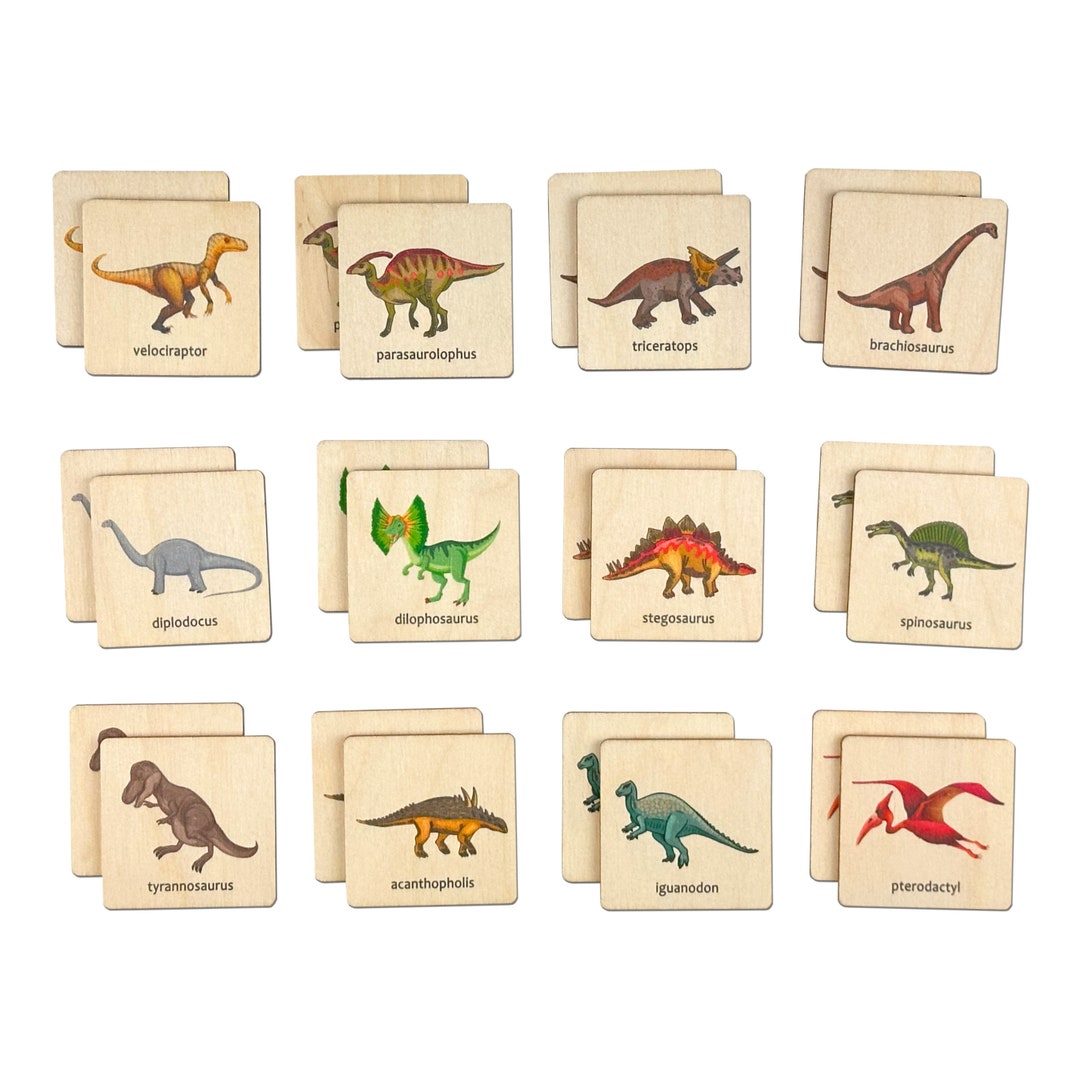 Montessori Wooden Dinosaurs Memory Game | Homeschool, Preschool ...