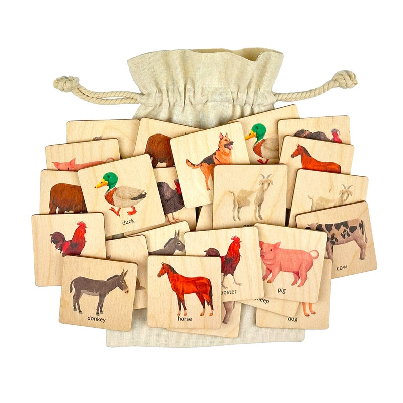 Animal Matching Wood - Etsy